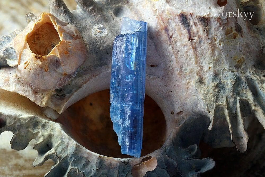 Jeremejevite Crystal 3.15 cts